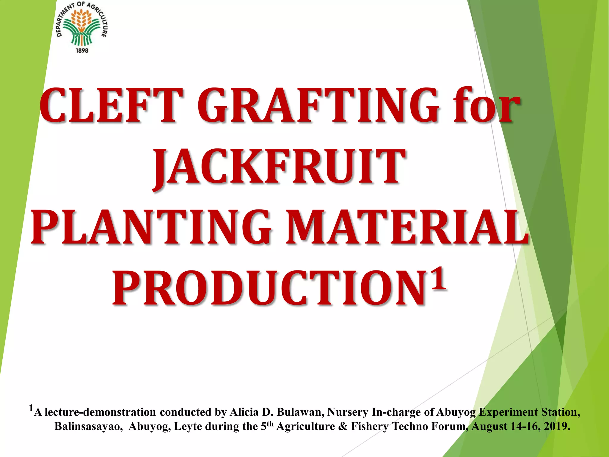 Cleft Grafting for Jackfruit Planting Material Production | PDF