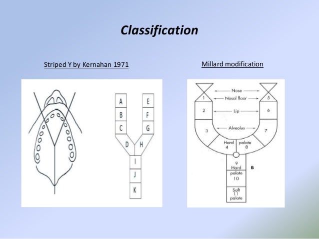 Clinical aspects of cleft lip repair