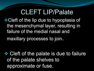 Cleft lip and Cleft palate (Pediatrics) | PPTX