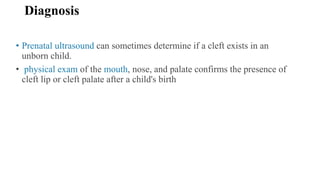 cleft lip.pptx | Pregnancy | Reproductive Health