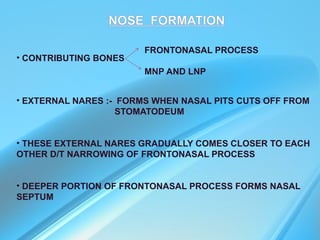 cleft lip and palate and its management.pptx