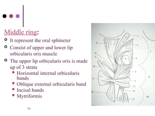 cleft lip and palate and its management.pptx