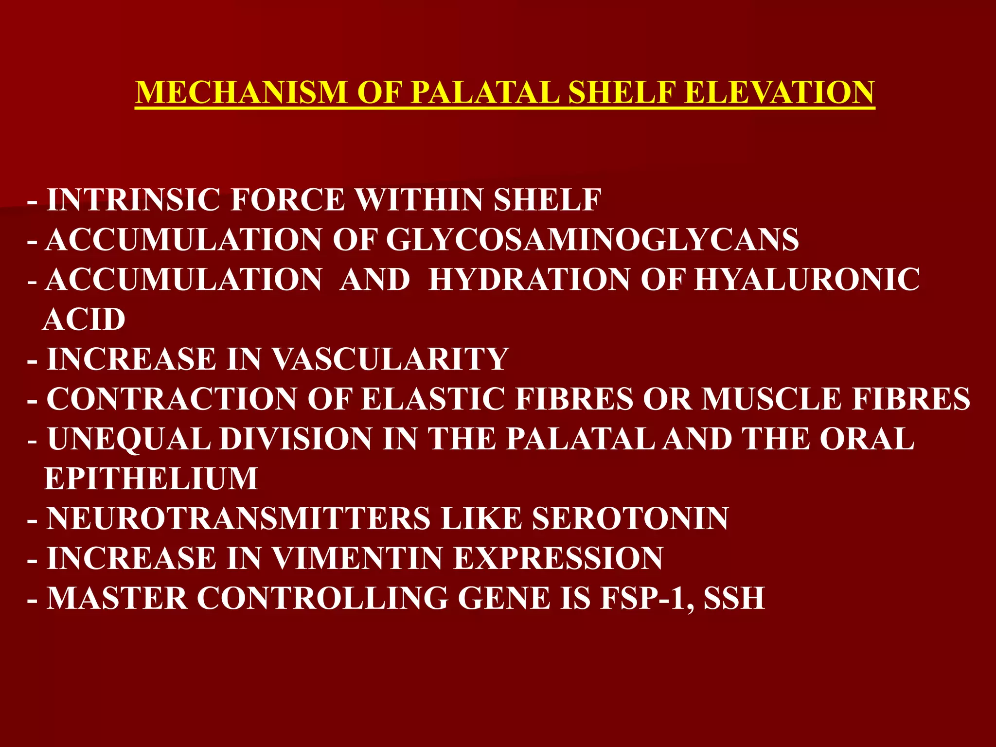Cleft Lip And Palate Ppt