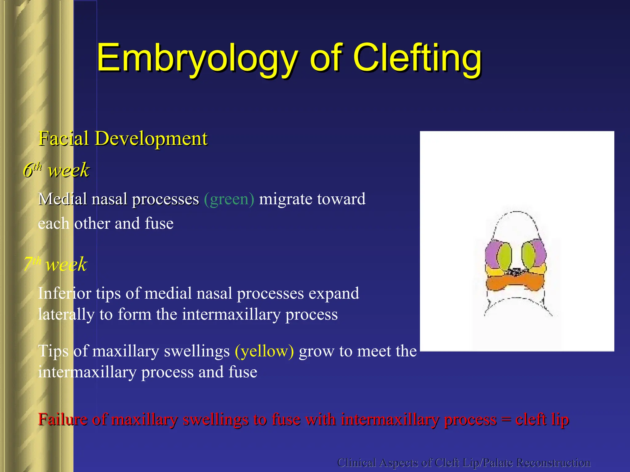 Cleft Lip-Primary & Secondary Deformities.ppt