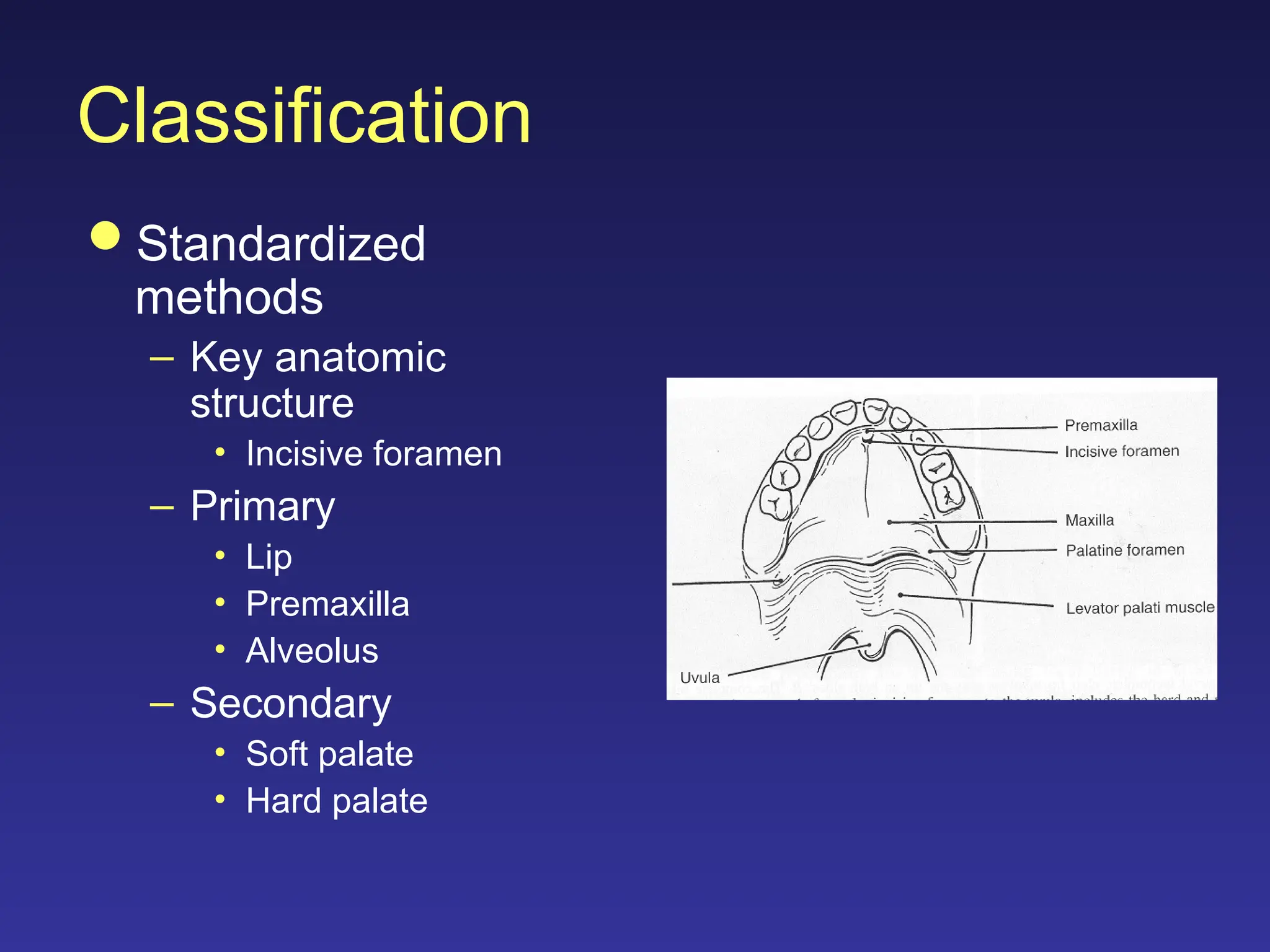 Cleft Lip-Primary & Secondary Deformities.ppt