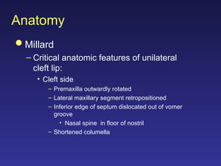 Cleft Lip-Primary & Secondary Deformities.ppt
