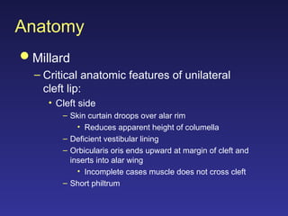 Cleft Lip-Primary & Secondary Deformities.ppt