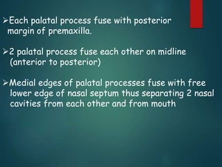 Cleft lip and cleft palate | PPT