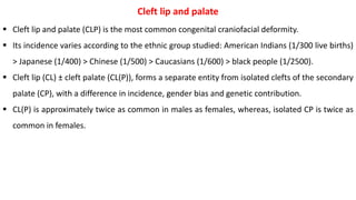 cleft lip and cleft palate.pdf