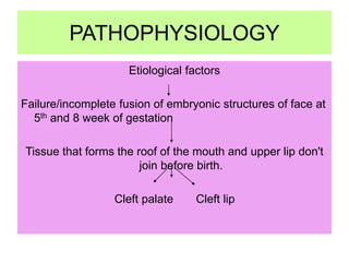 Cleft lip and cleft palate.ppt