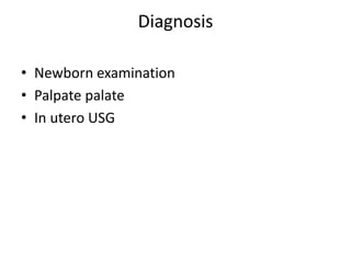 CLEFT LIP AND CLEFT PALATE.pptx in children | PPTX