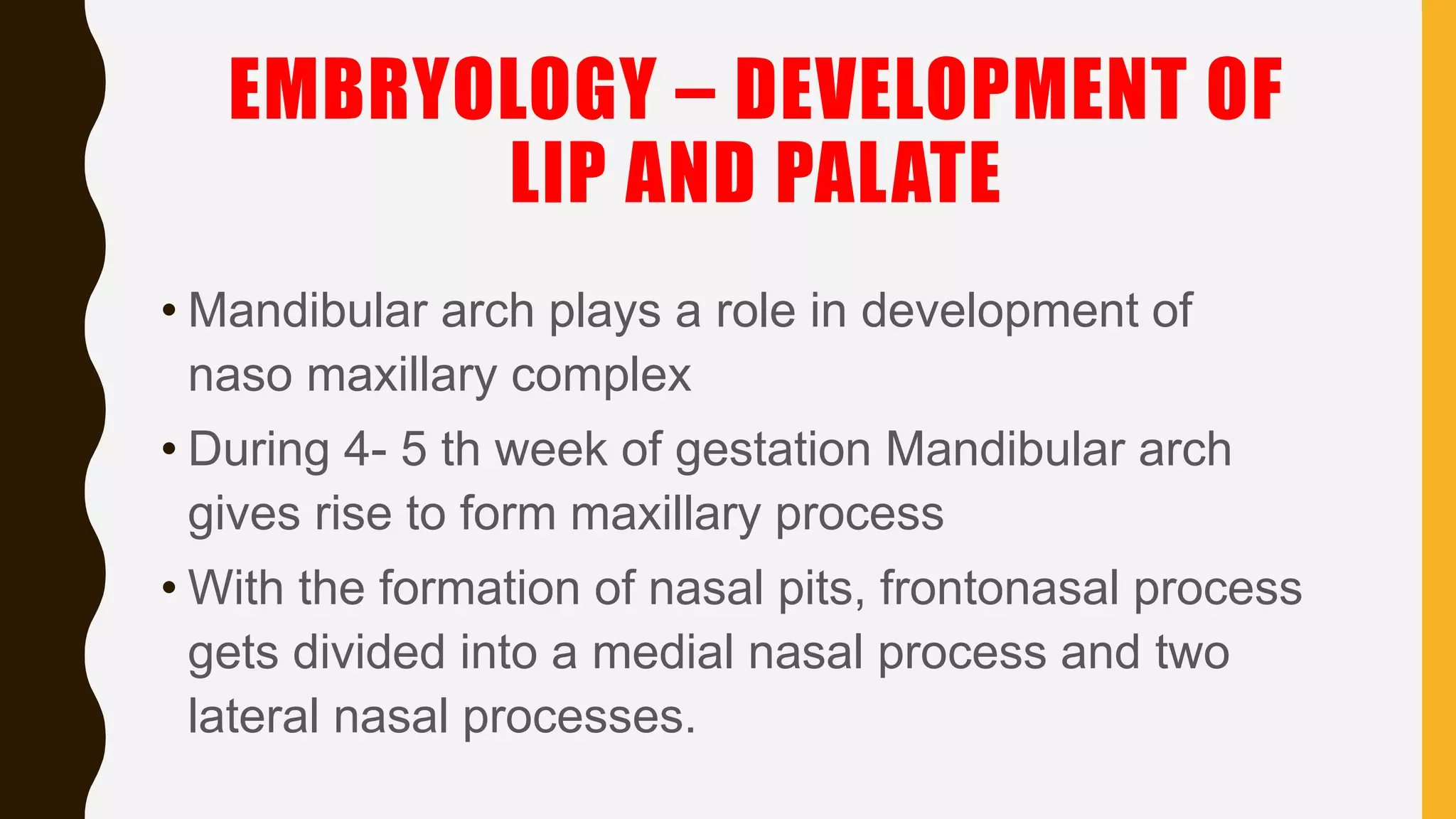 Cleft lip and cleft palate ppt | PPTX