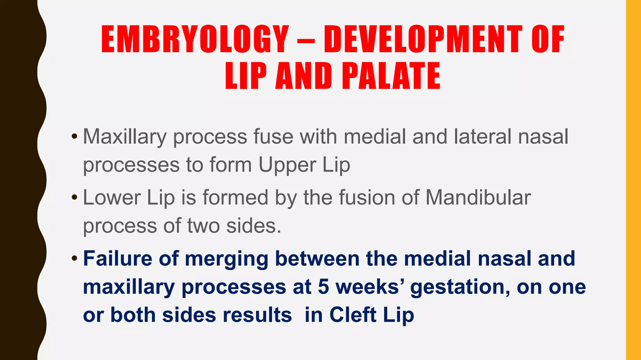 Cleft lip and cleft palate ppt | PPTX