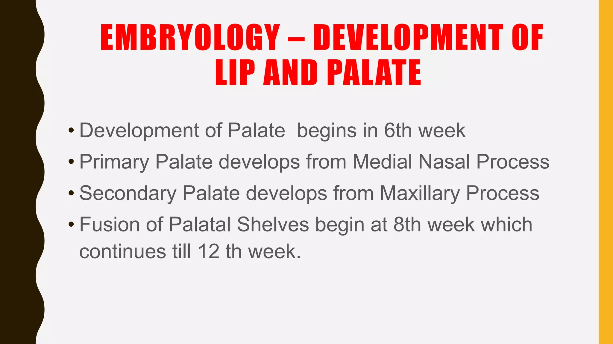 Cleft lip and cleft palate ppt | PPTX