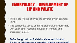 Cleft lip and cleft palate ppt | PPTX