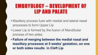 Cleft lip and cleft palate ppt | PPTX