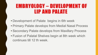 Cleft lip and cleft palate ppt | PPTX