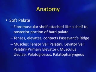 Cleft lip and palate | PPTX