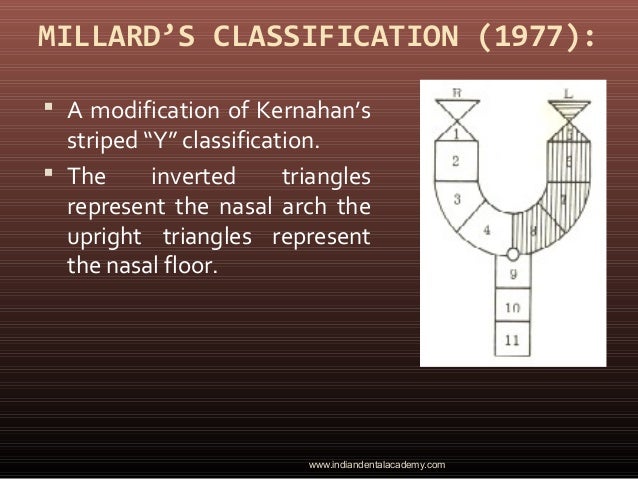 Cleft lip and palate/ dental crown & bridge courses