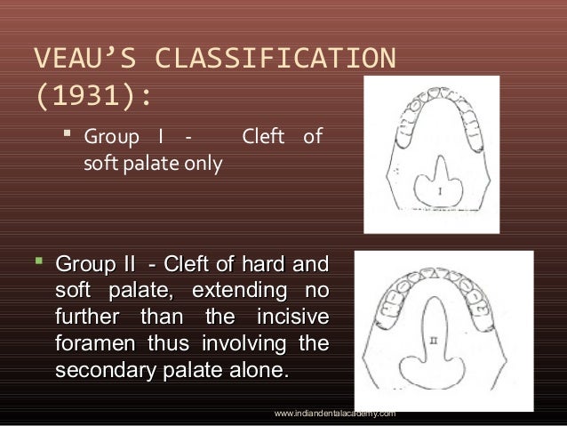 Cleft lip and palate/prosthodontic courses