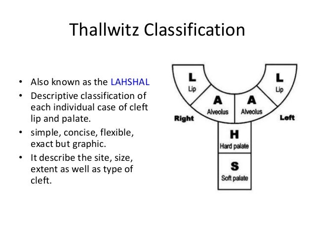 Cleft lip and palate