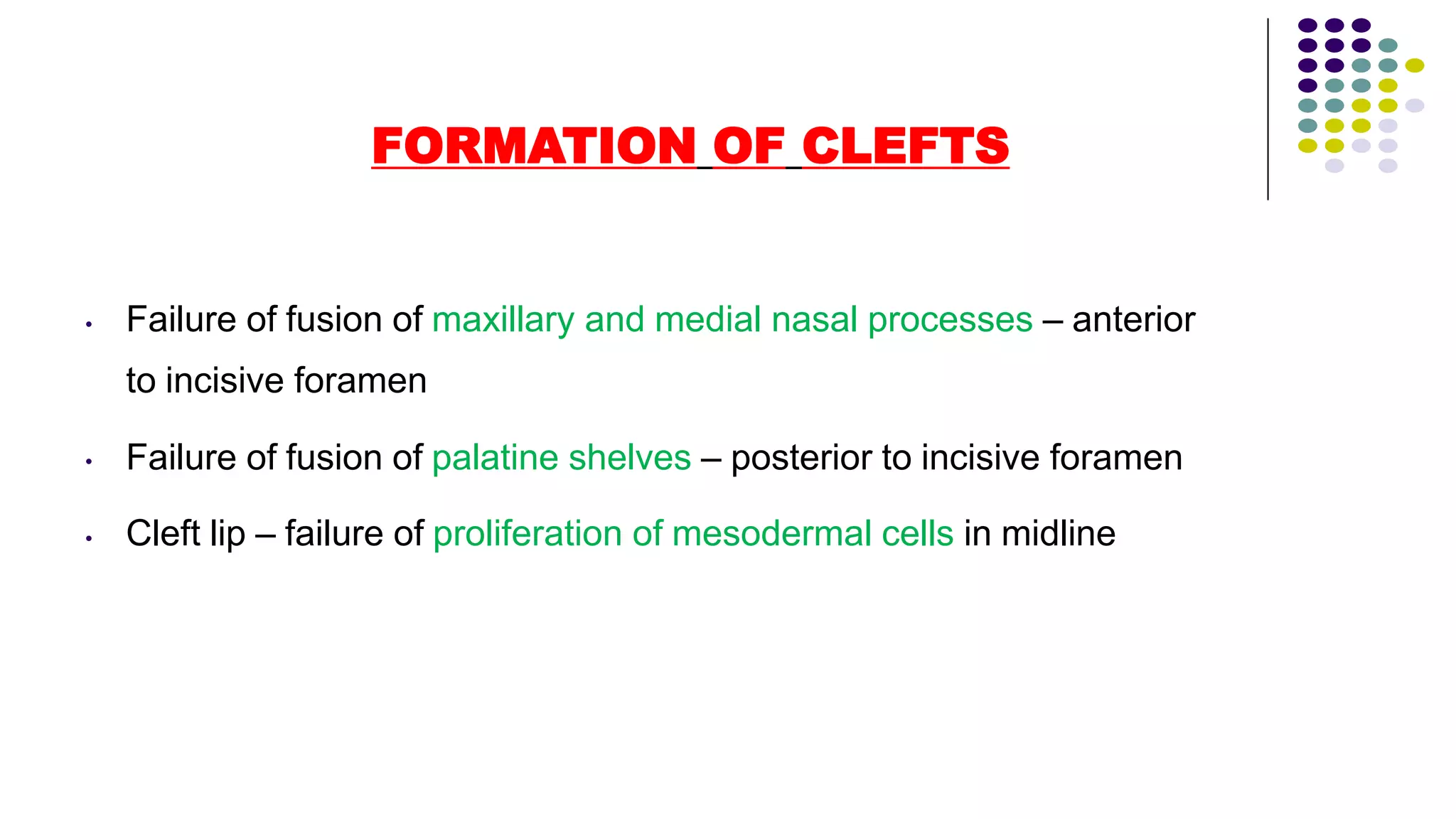 Cleft lip and palate | PPTX