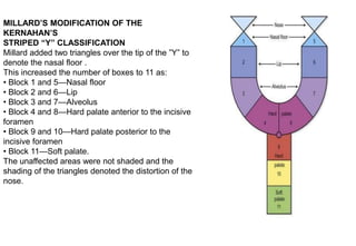 Cleft lip and palate | PPTX
