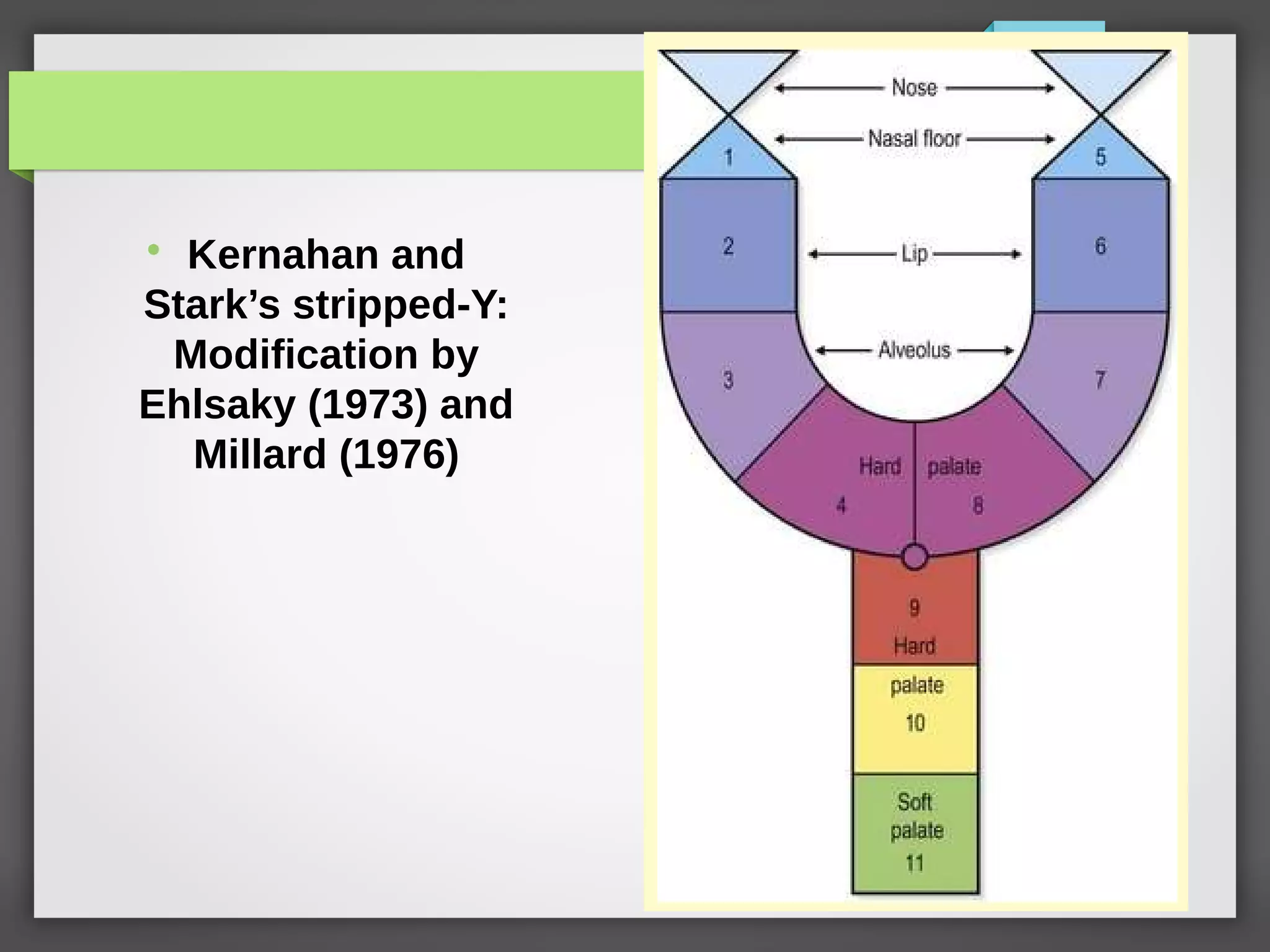 Cleft Lip and Palate | PDF