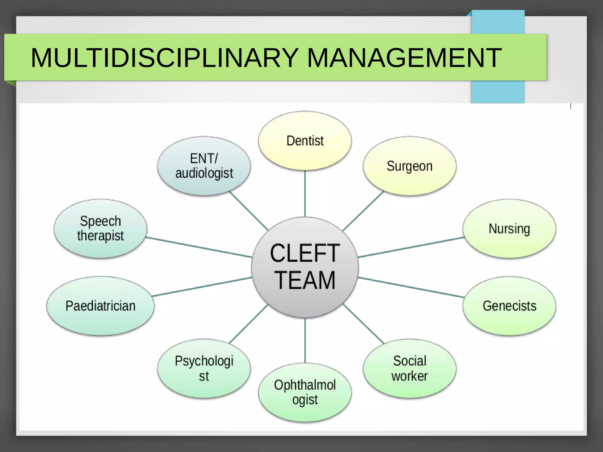 Cleft Lip and Palate | PDF