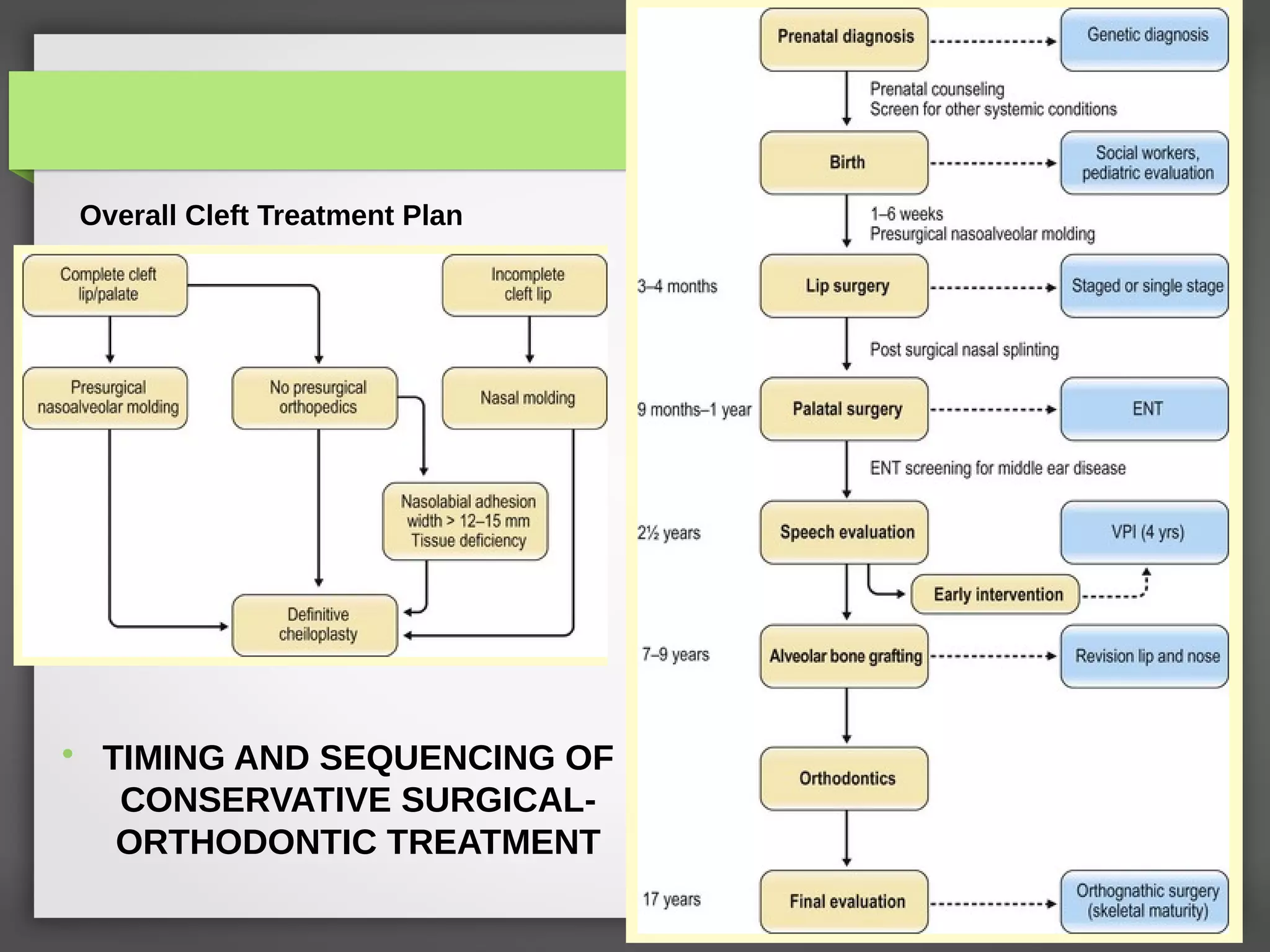 Cleft Lip and Palate | PDF