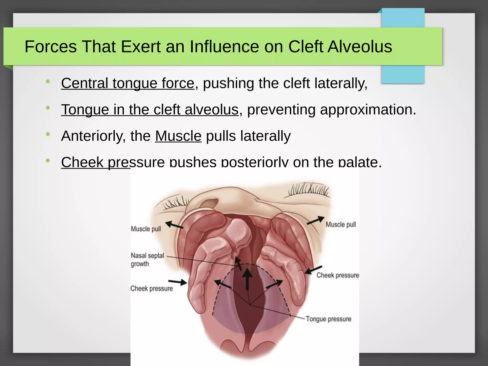 Cleft Lip and Palate | PDF