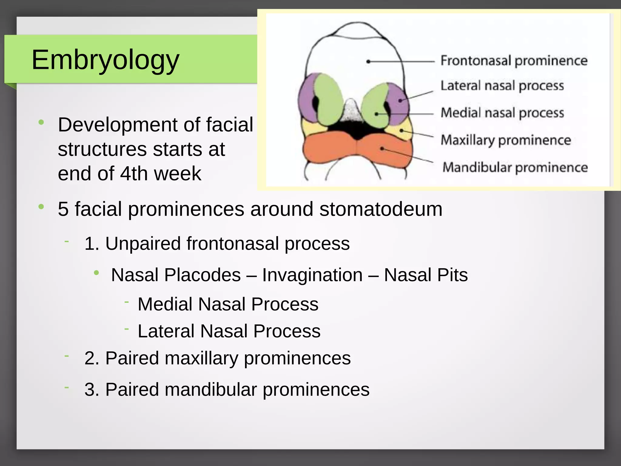 Cleft Lip and Palate | PDF
