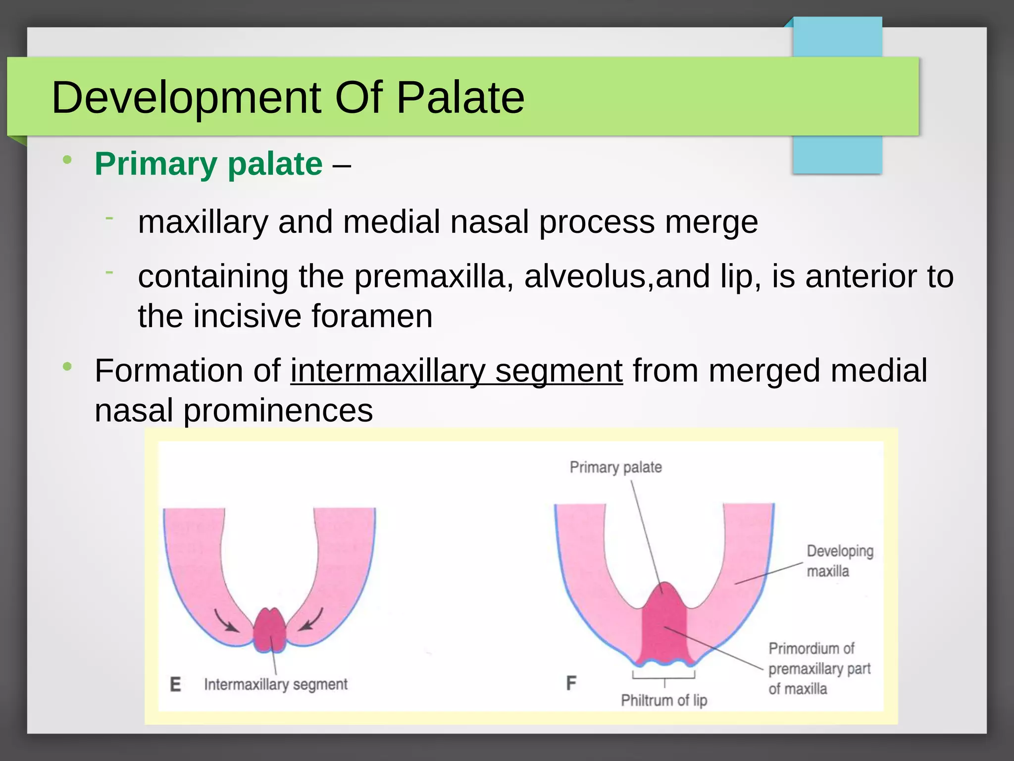 Cleft Lip and Palate | PDF