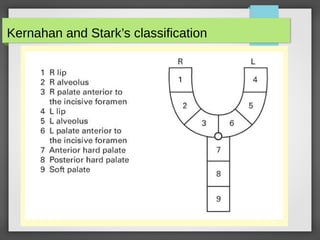 Cleft Lip And Palate Classification