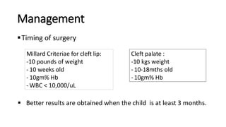 CLEFT LIP AND PALATE.pptx