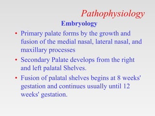 Cleft lip and palate.pptx