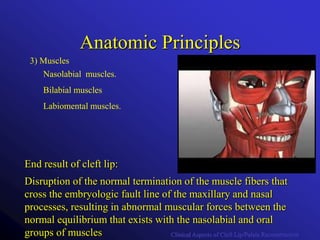 Cleft lip and palate.pptx
