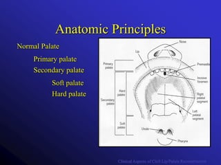 Cleft lip and palate.pptx