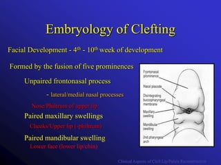 Cleft lip and palate.pptx