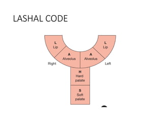 CLEFT LIP AND CLEFT PALATE- Embryology and management | PPTX