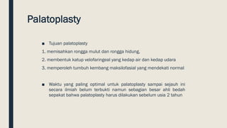 Cleft lip and palate | PDF
