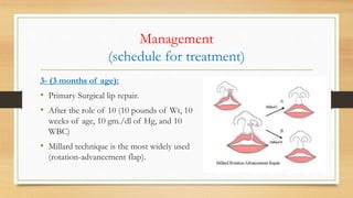 cleft lip and palate 1.pptx