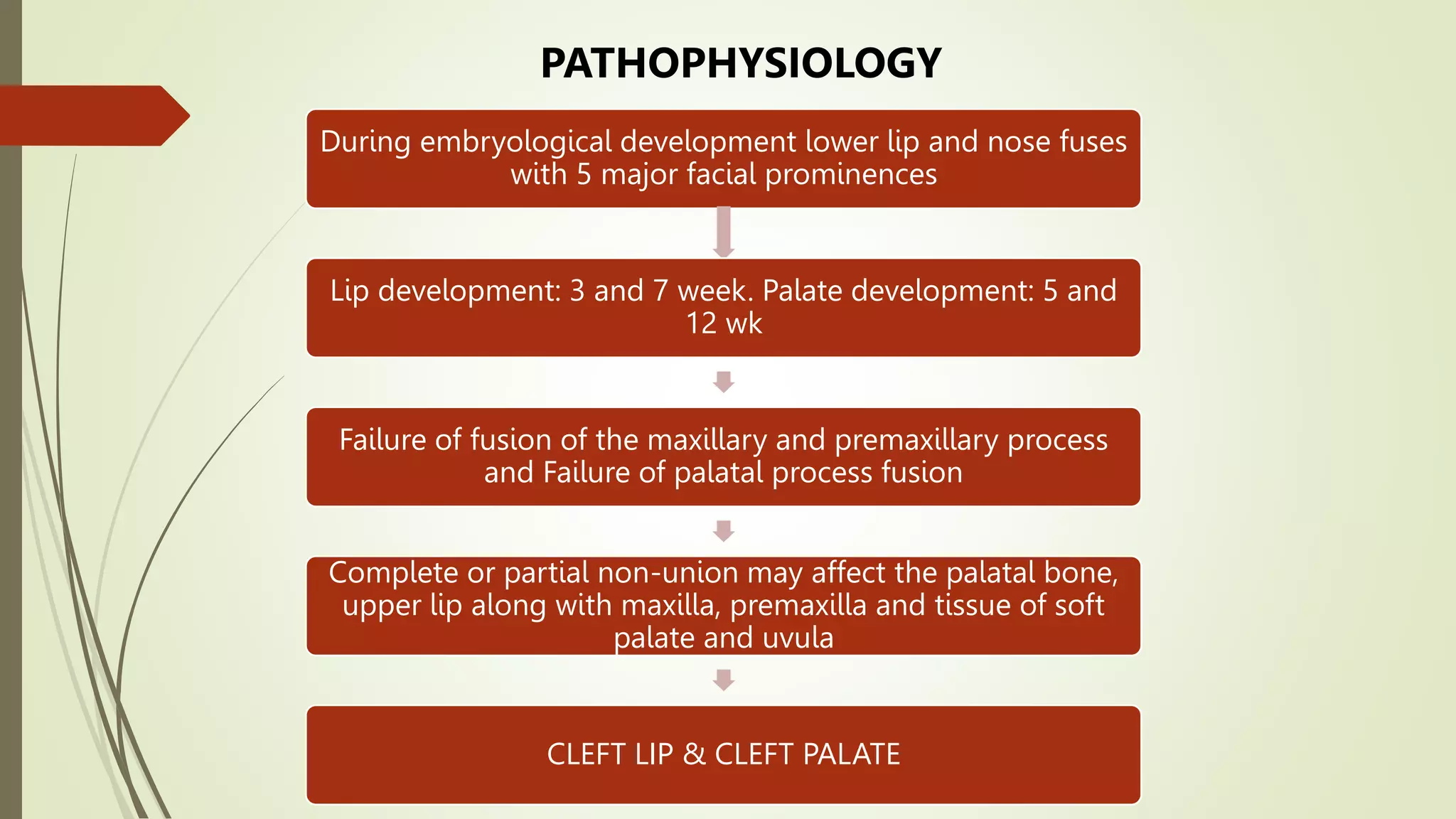 cleft lip and palate1.pptx