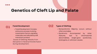 Cleft Lip and Palate: From Diagnosis to Multidisciplinary Management | PDF