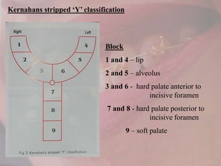 Cleft lip and palate O.ppt