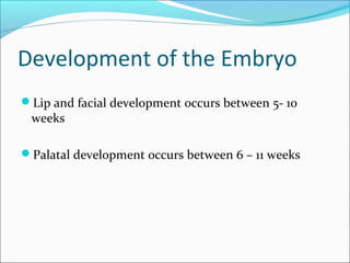 Cleft lip and palate ppt | PPT