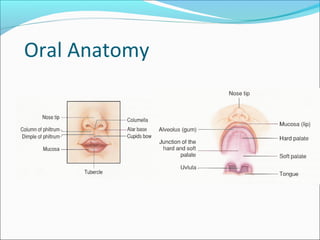 Cleft lip and palate ppt | PPT