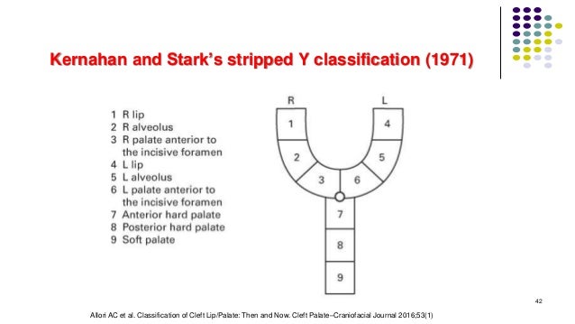 Cleft lip and palate slideshare