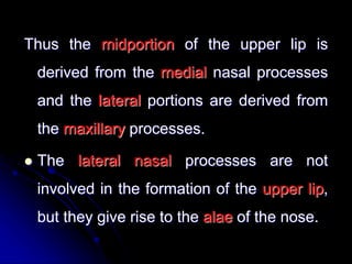 cleft lip and palate | PPTX