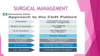 Cleft lip and palatre | PPTX